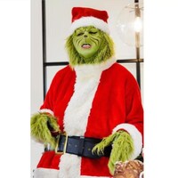 Grinch Costume - Etsy