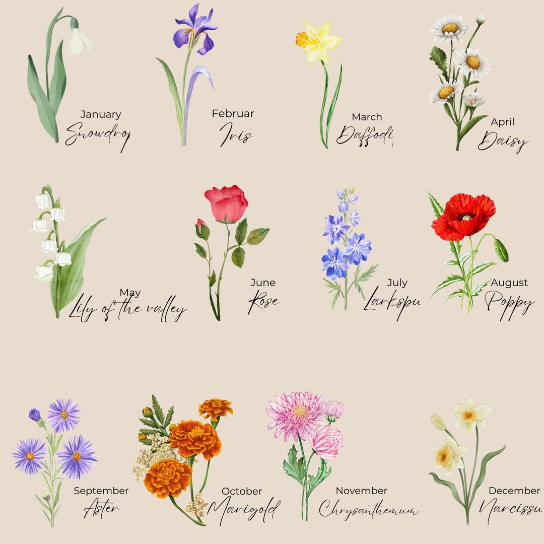 Birth Flower Png, Birthing Flowers Png, Birth Flowers Png, Flower Birth ...