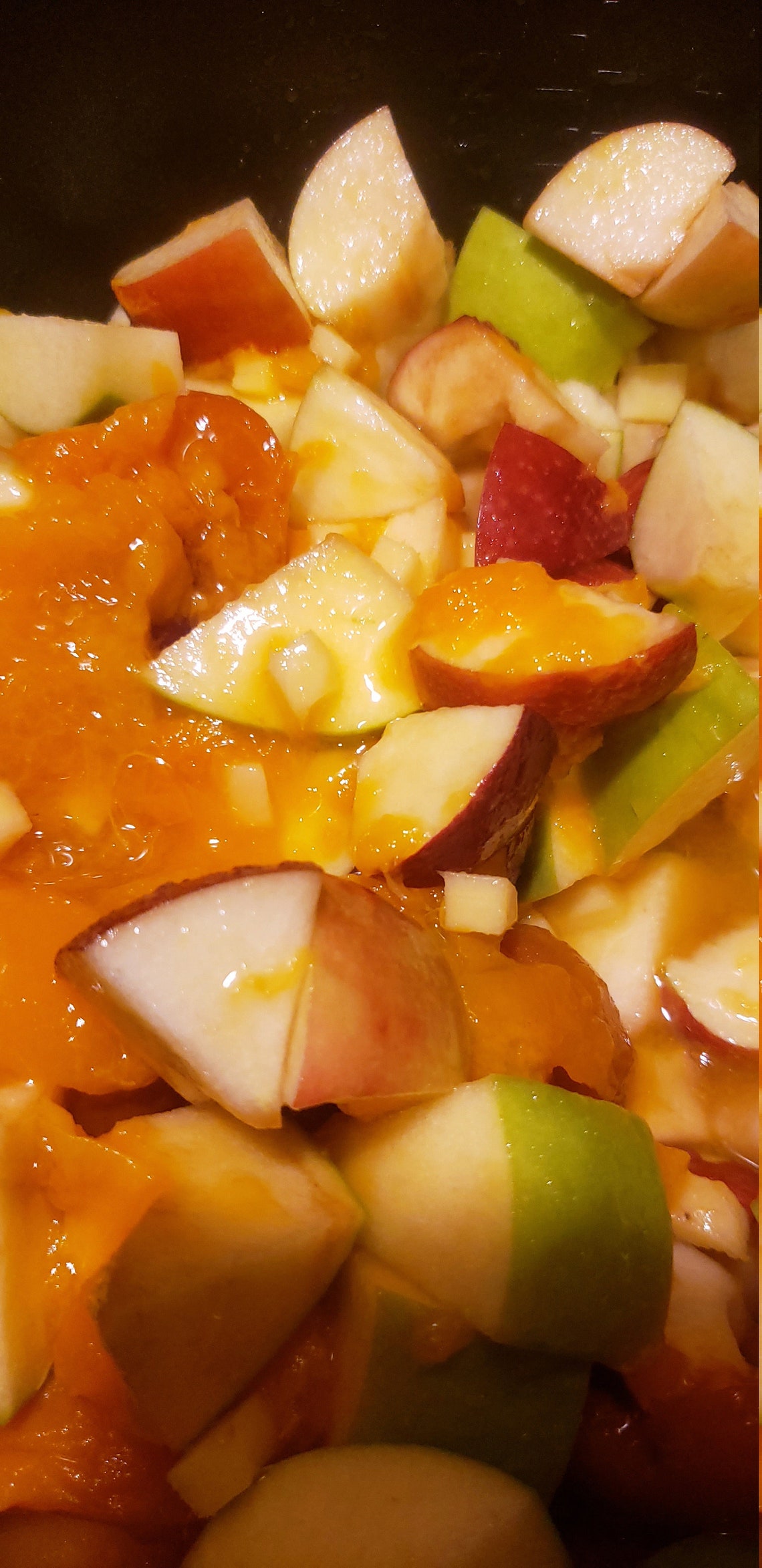 Apricot Ginger Fruit Leather Bites 2 Oz. GREAT for You AND | Etsy