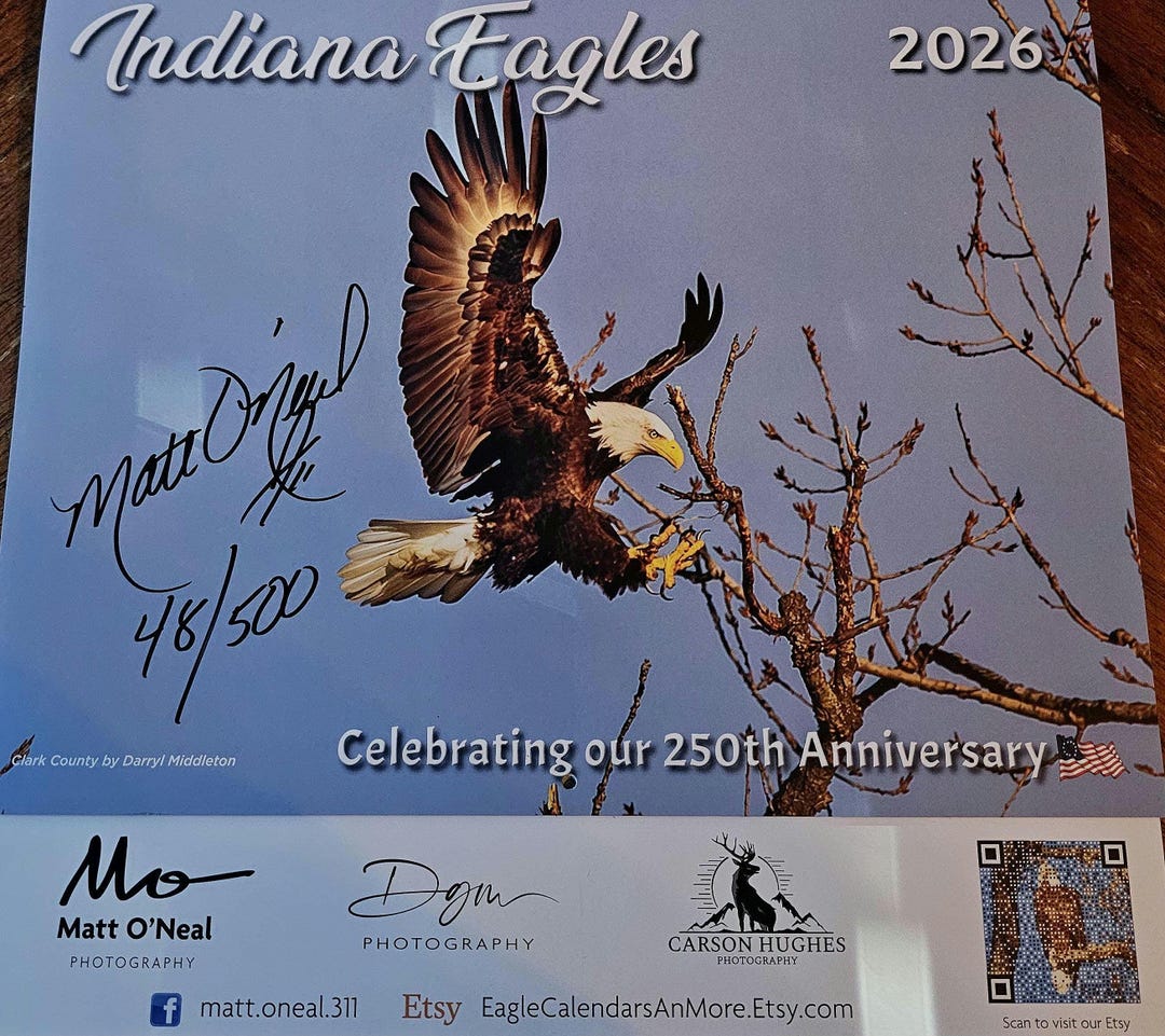 2026 Bald Eagle Calendars Celebrating America 's 250th Anniversary - Etsy