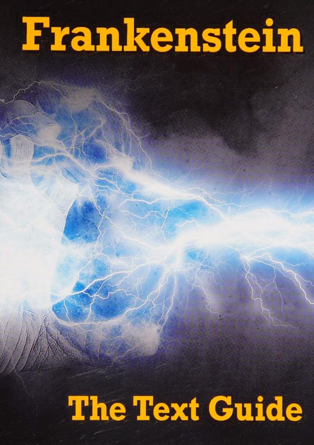 Frankenstein by Mary Shelley- Readers Guide, Study Guide - Etsy