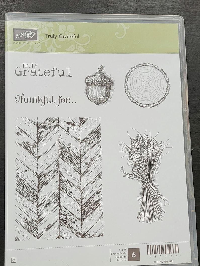 Truly Grateful Stampin' Up! Stamp Set - Etsy