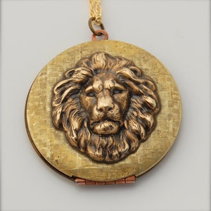 Vintage Locket Lion Head Necklace Jewelry Long Chain Rare Vintage ...