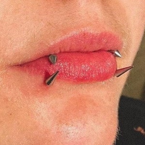 Lip Ring Piercing Snake Bite Jewelry Septum Ring Cone Lip Ring Piercing ...
