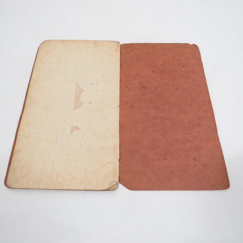 Bank Ledger Book Savings Account Antique 1894 Through 1900 Handwritten ...