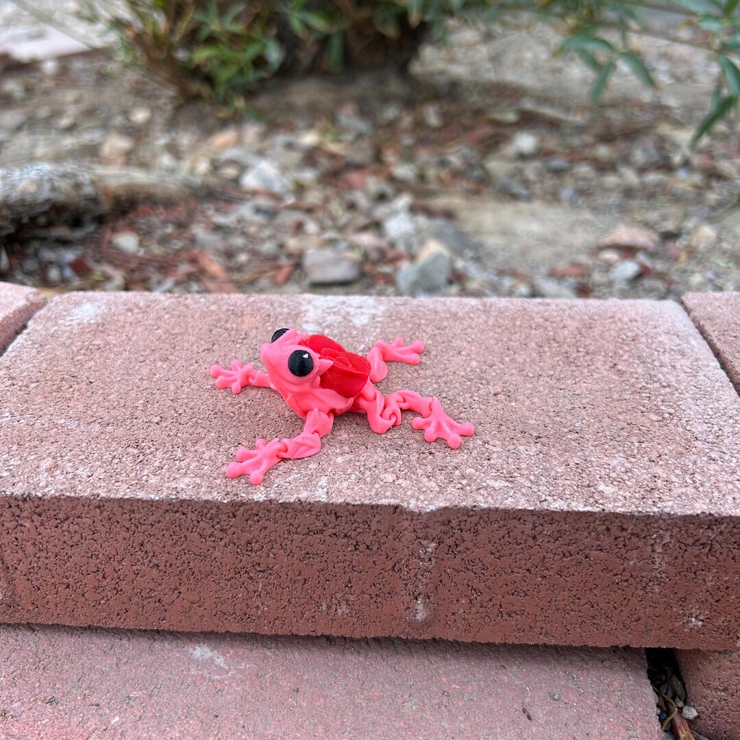 Rose Frog - Articulated & Flexible 3D Printed Animal - Etsy