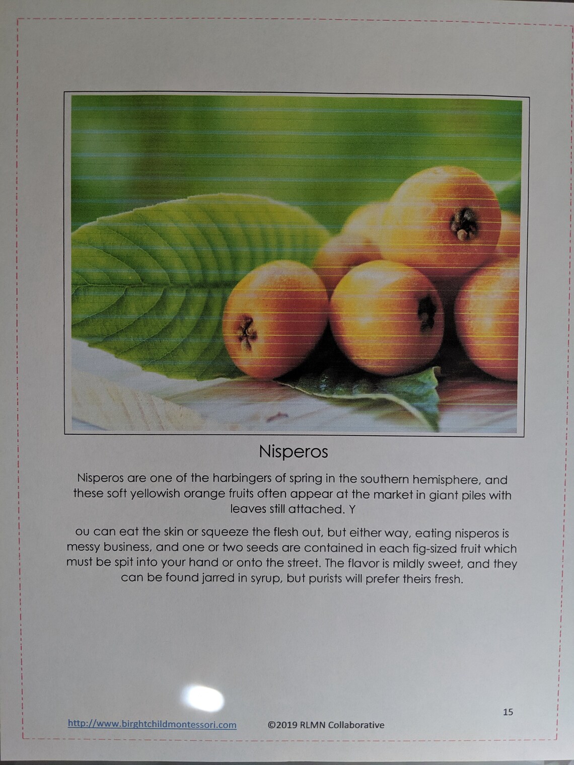 Land Water Air Matching Game Sorting Work Classification - Etsy