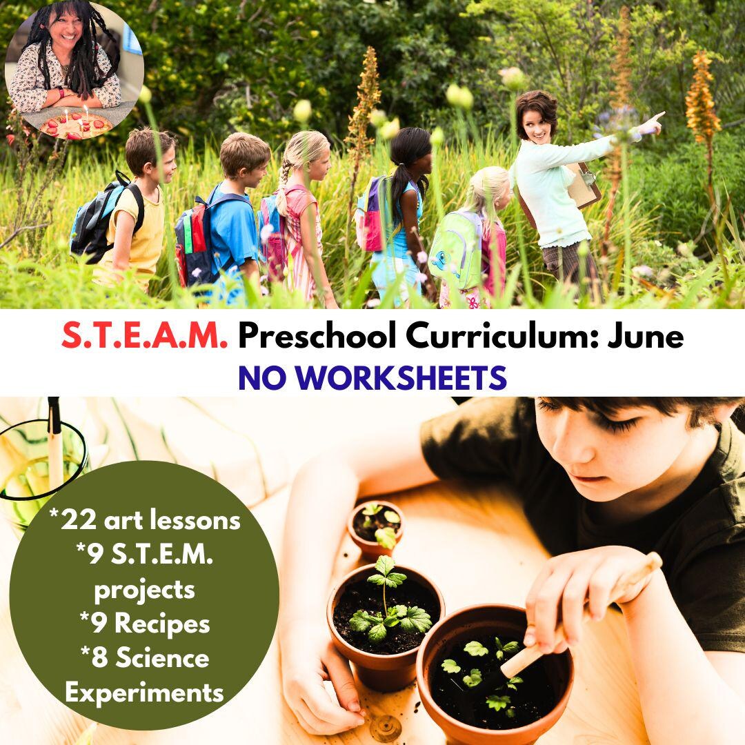 Preschool Lesson Plans Daily Curriculum STEAM Reggio Montessori JUNE ...