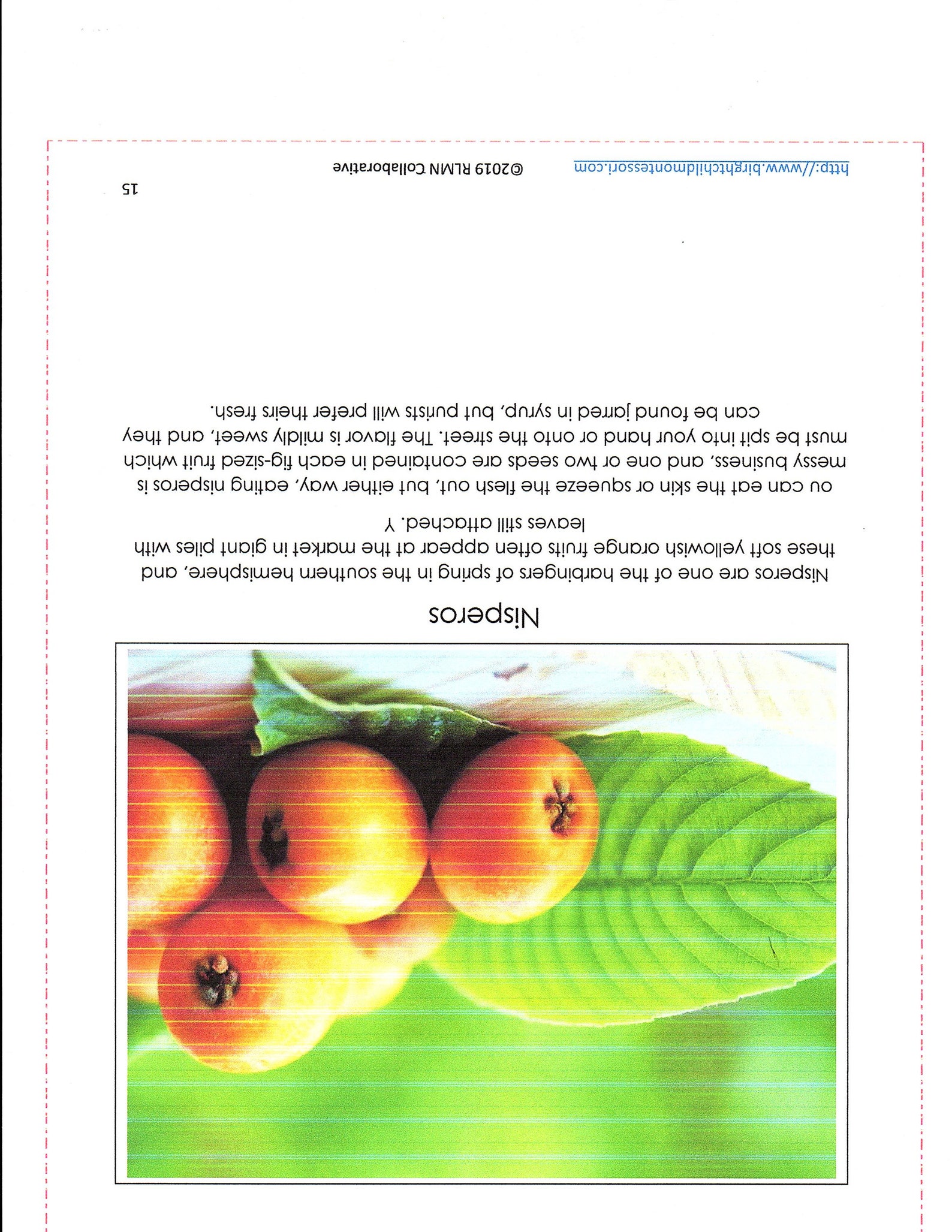 Montessori Geography. South America Montessori Lesson. Write - Etsy