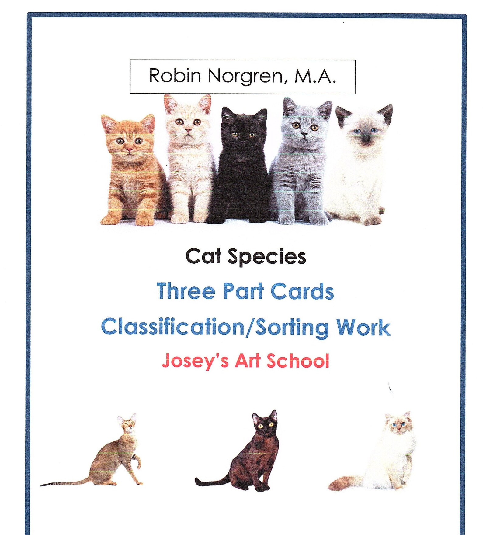 Species of Cats Game Sorting Work Classification Language 3 - Etsy