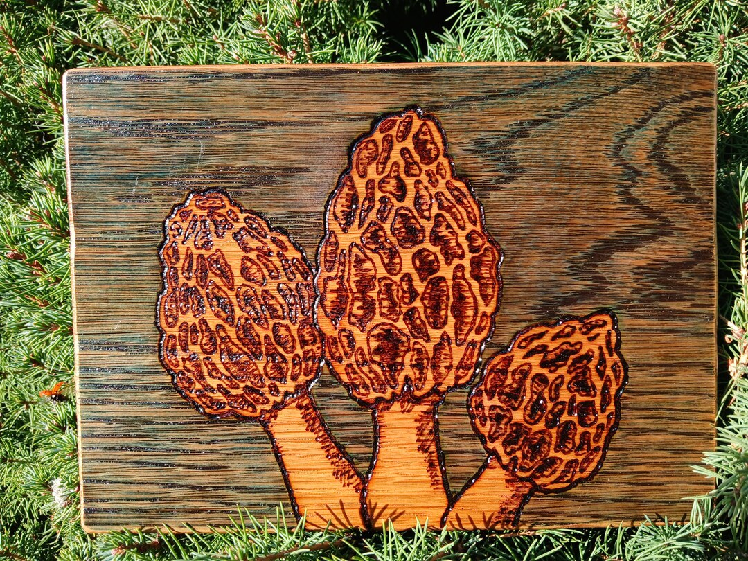 Wood Burned Morel Mushrooms, Custom Pyrography Art, Wood Art - Etsy