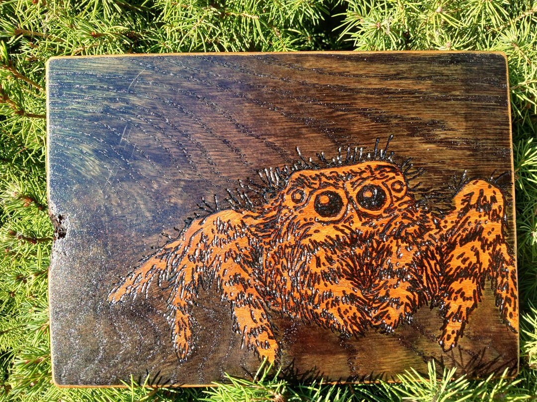 Wood Burned Spider, Custom Pyrography Art, Wood Art - Etsy