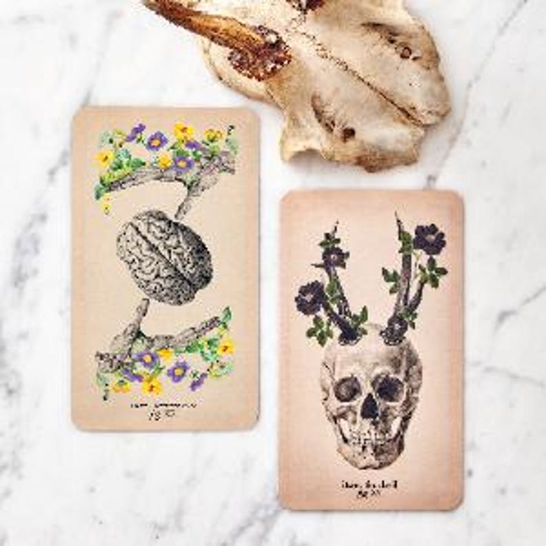 Personal Zodiac Tarot Reading -- Aries the Ram - Etsy