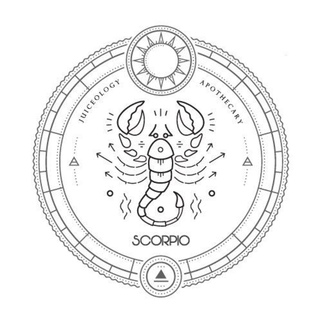 Personal Zodiac Tarot Reading -- Scorpio the Scorpion - Etsy