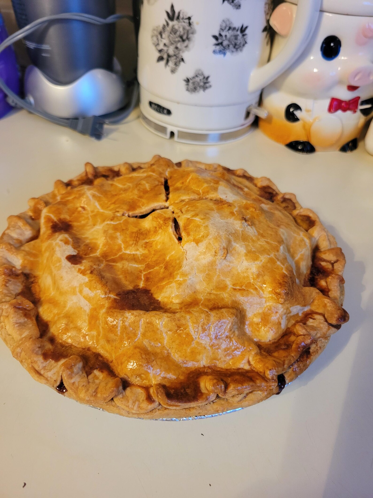 Gramma Ollie's Virginia Style Apple Pies - Etsy