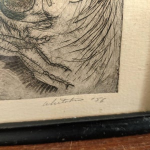 Vintage Mid Century Bizarre Framed Limited 3/5 Print Titled THE FLY ...