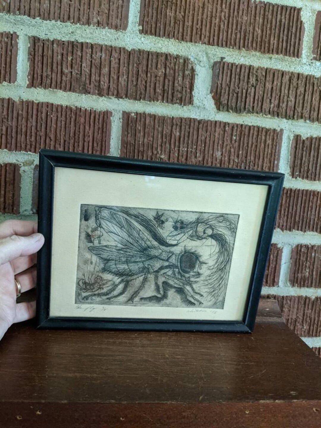 Vintage Mid Century Bizarre Framed Limited 3/5 Print Titled THE FLY ...