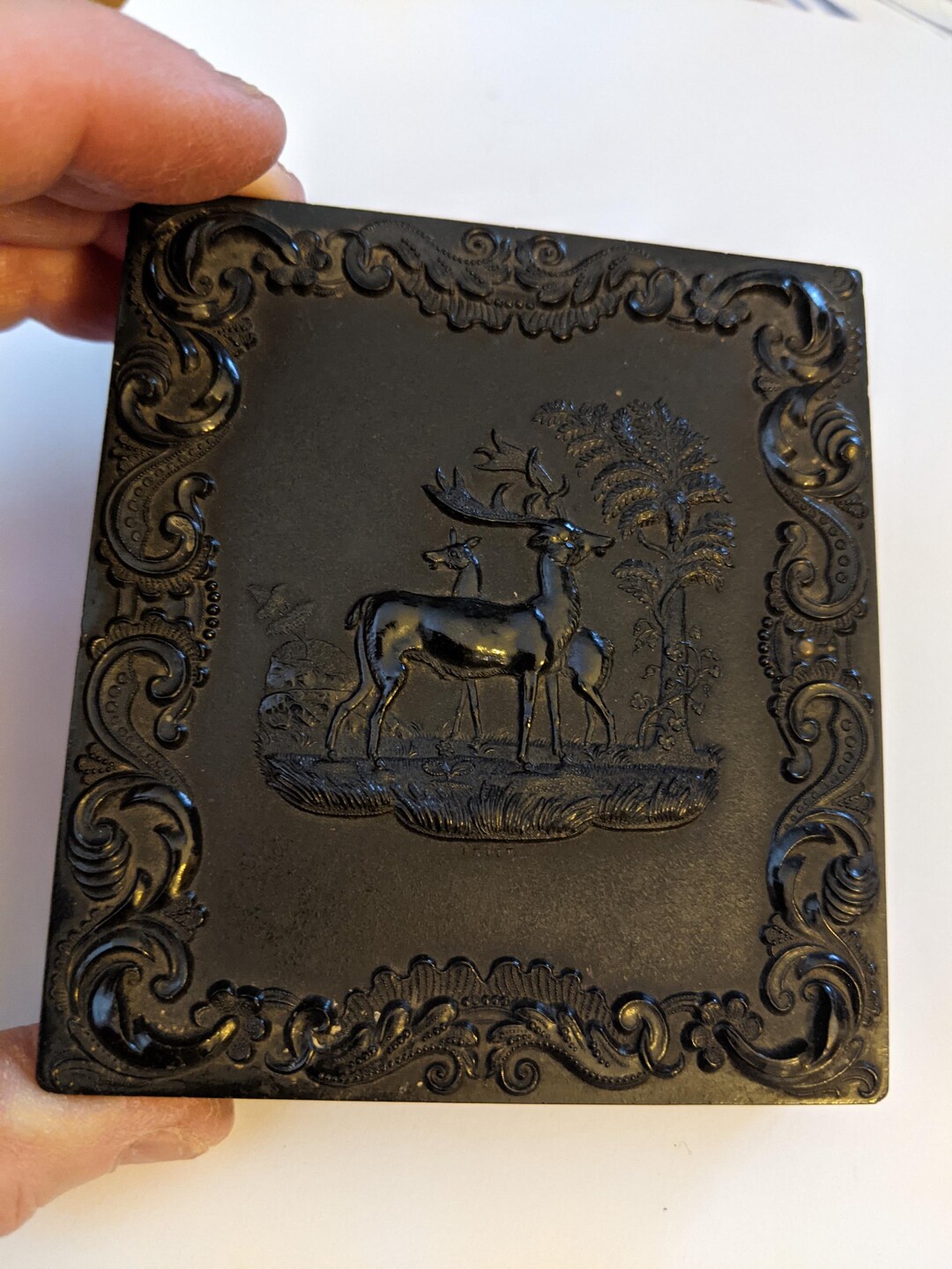 Antique Sixth Plate Tinted Ambrotype Portrait in Thermoplastic Union ...