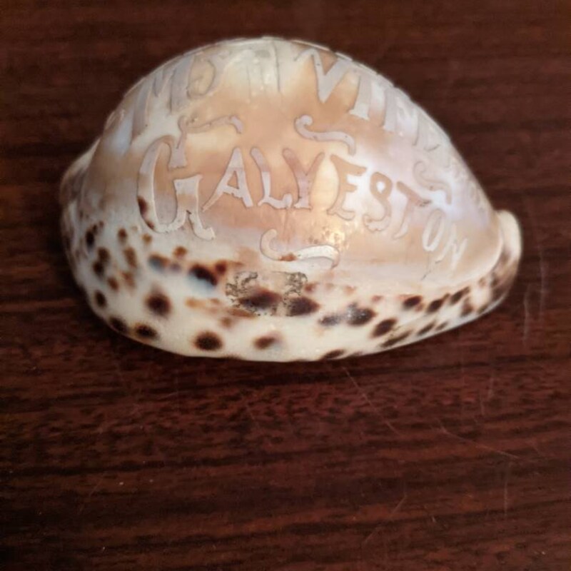 Shell Souvenirs - Etsy