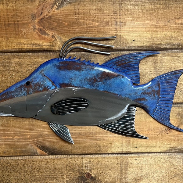 Hogfish - Etsy