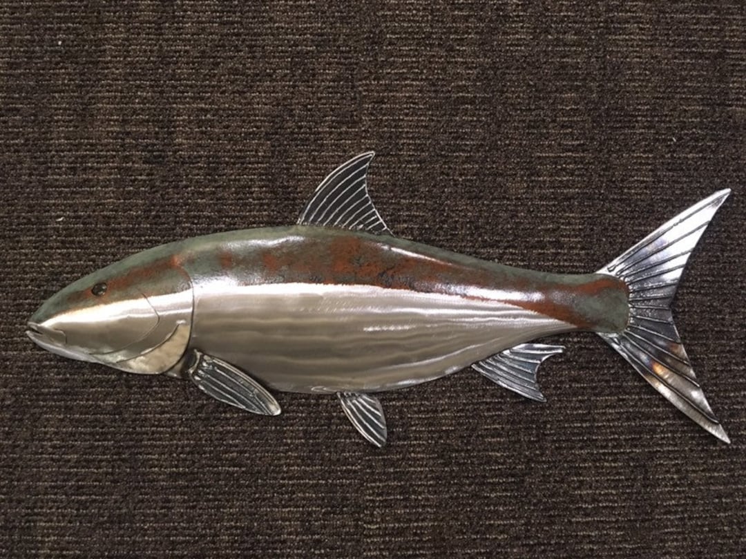 Bone Fish 24in Art Tropical Coastal Beach Metal Wall Sculpture - Etsy