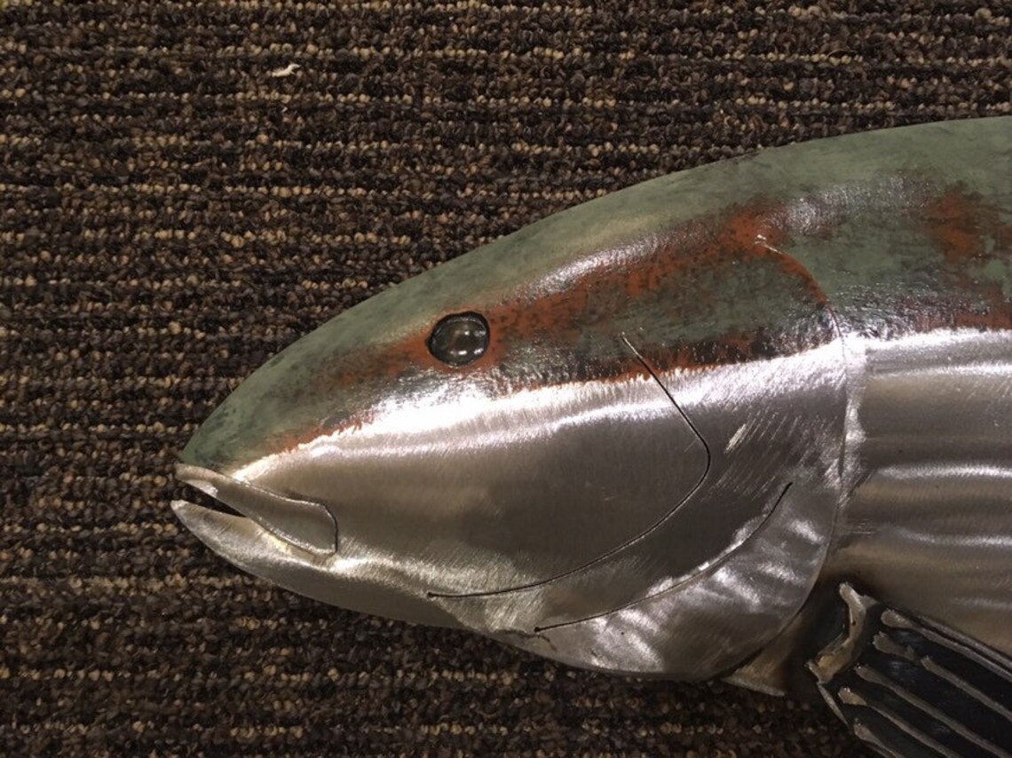 Bone Fish 24in Art Tropical Coastal Beach Metal Wall | Etsy