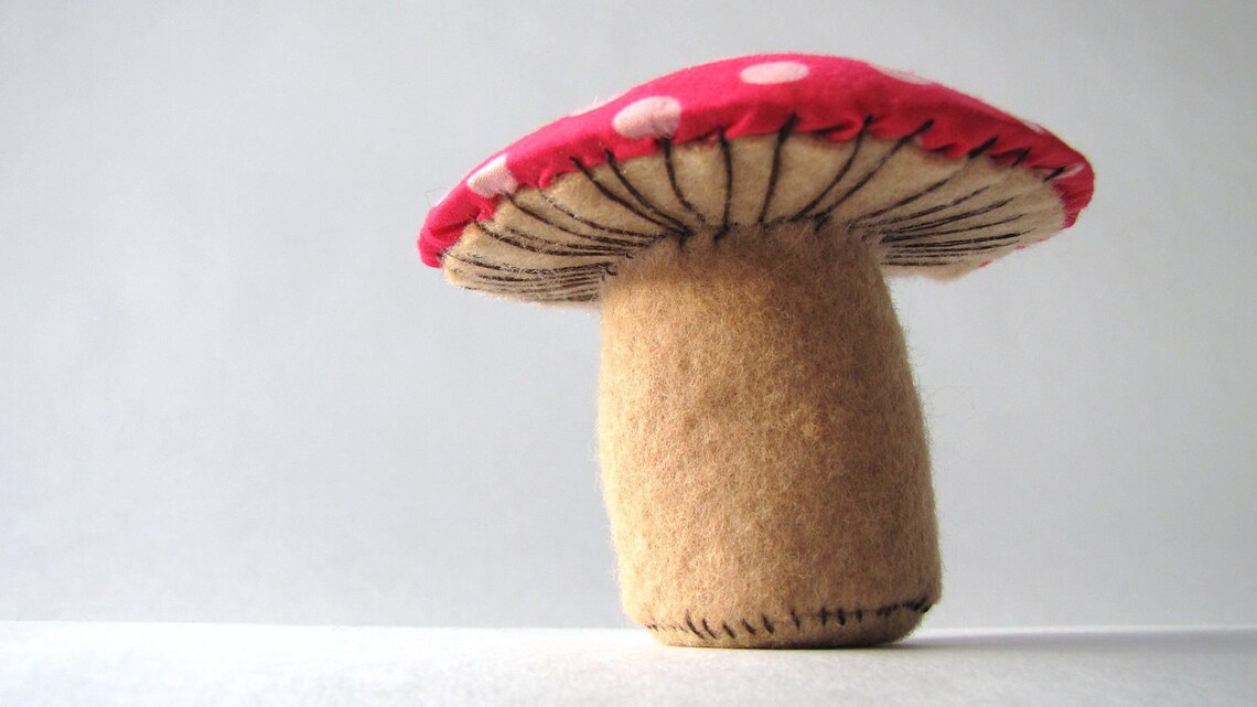 The Terrific Toadstool PDF Pattern and Instructions INSTANT - Etsy