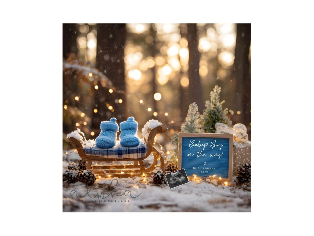 Boy Winter Pregnancy Announcement, Snow Baby Reveal, Winter Baby Boy ...