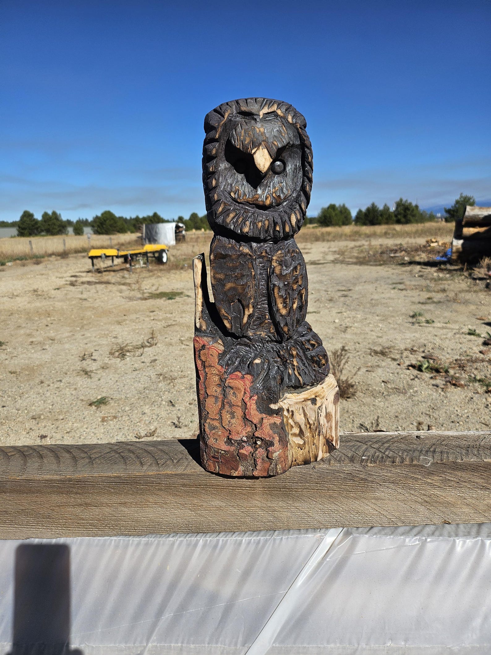 Chainsaw Carved Owl. - Etsy