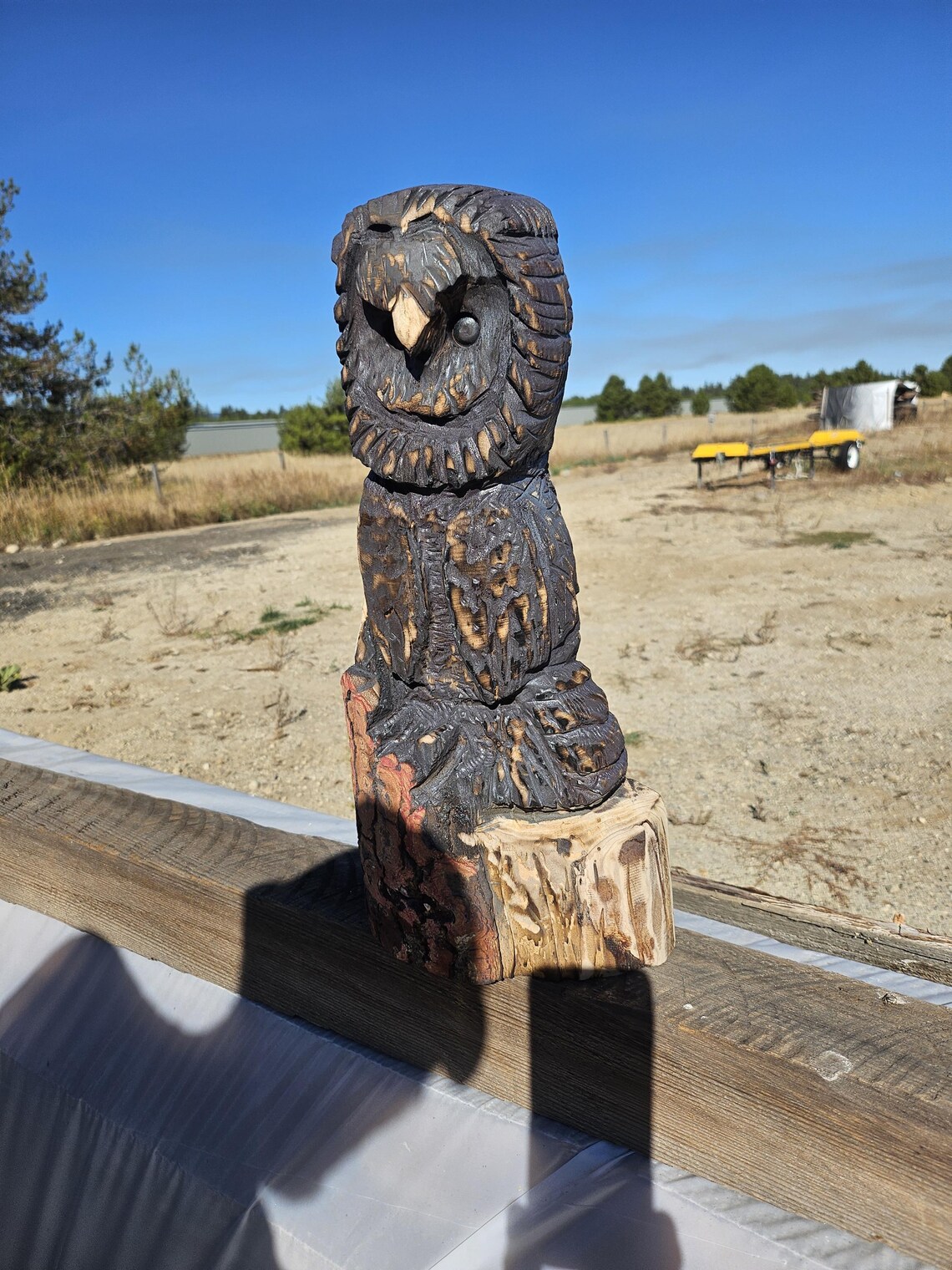 Chainsaw Carved Owl. - Etsy