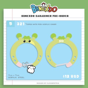Boynextdoor BBNEXDO Acrylic Carabiner Keychain & Charm Holder - Etsy