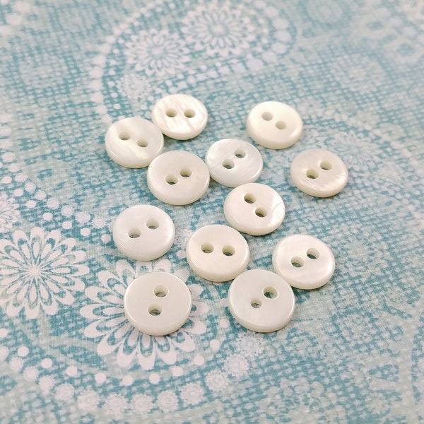 Sea Shell Buttons - Etsy
