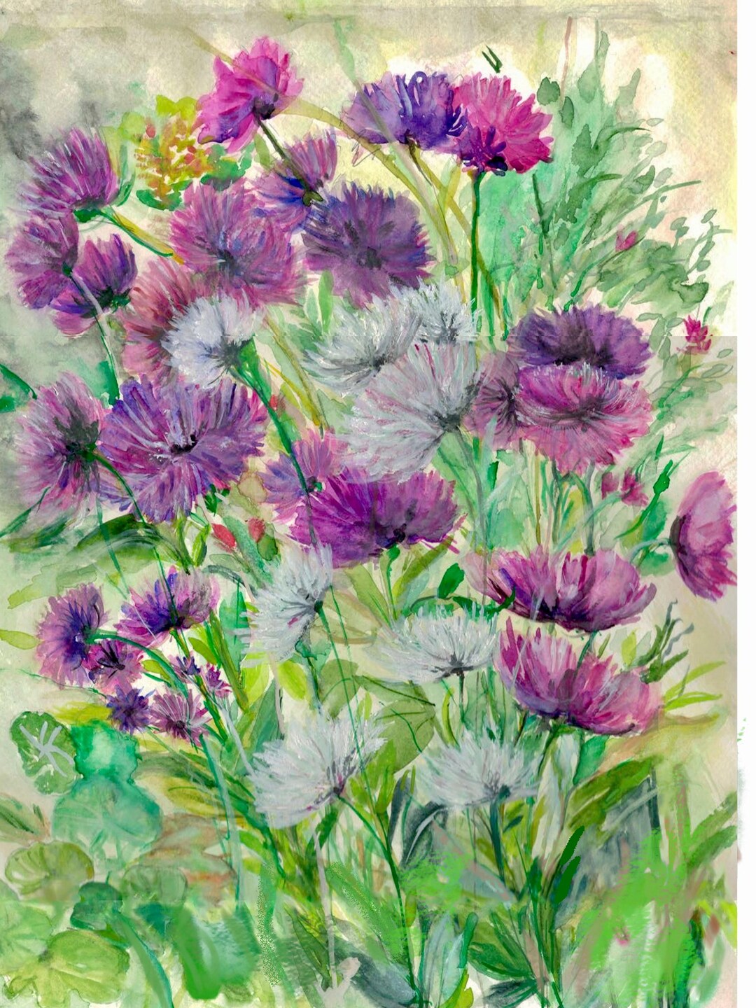 Chrysanthamums Riot | Pink White Violet Summer Flowers in Watercolours ...