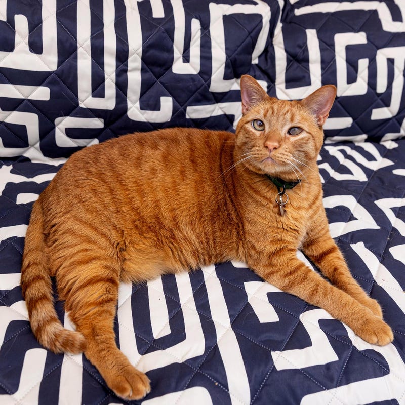 Blanket Bed Cover Woven - Etsy