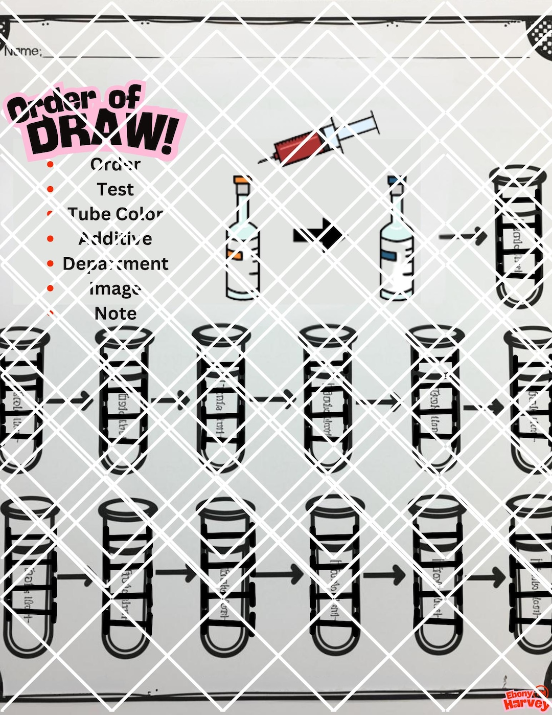 Order of Draw Printable Worksheet, Digital Phlebotomy Worksheet, CLSI ...