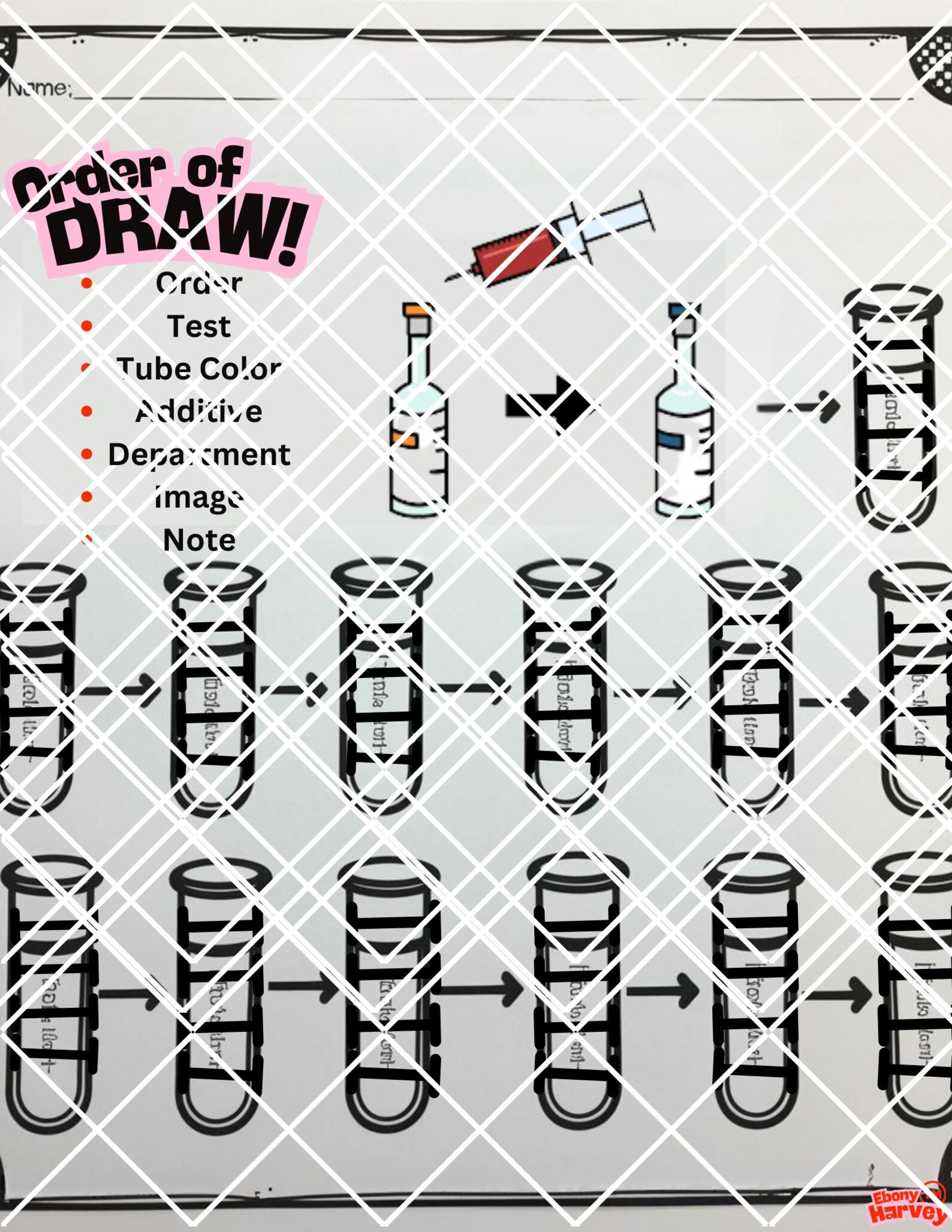 Order of Draw Printable Worksheet, Digital Phlebotomy Worksheet, CLSI ...