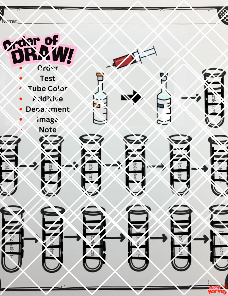 Order of Draw Printable Worksheet, Digital Phlebotomy Worksheet, CLSI ...
