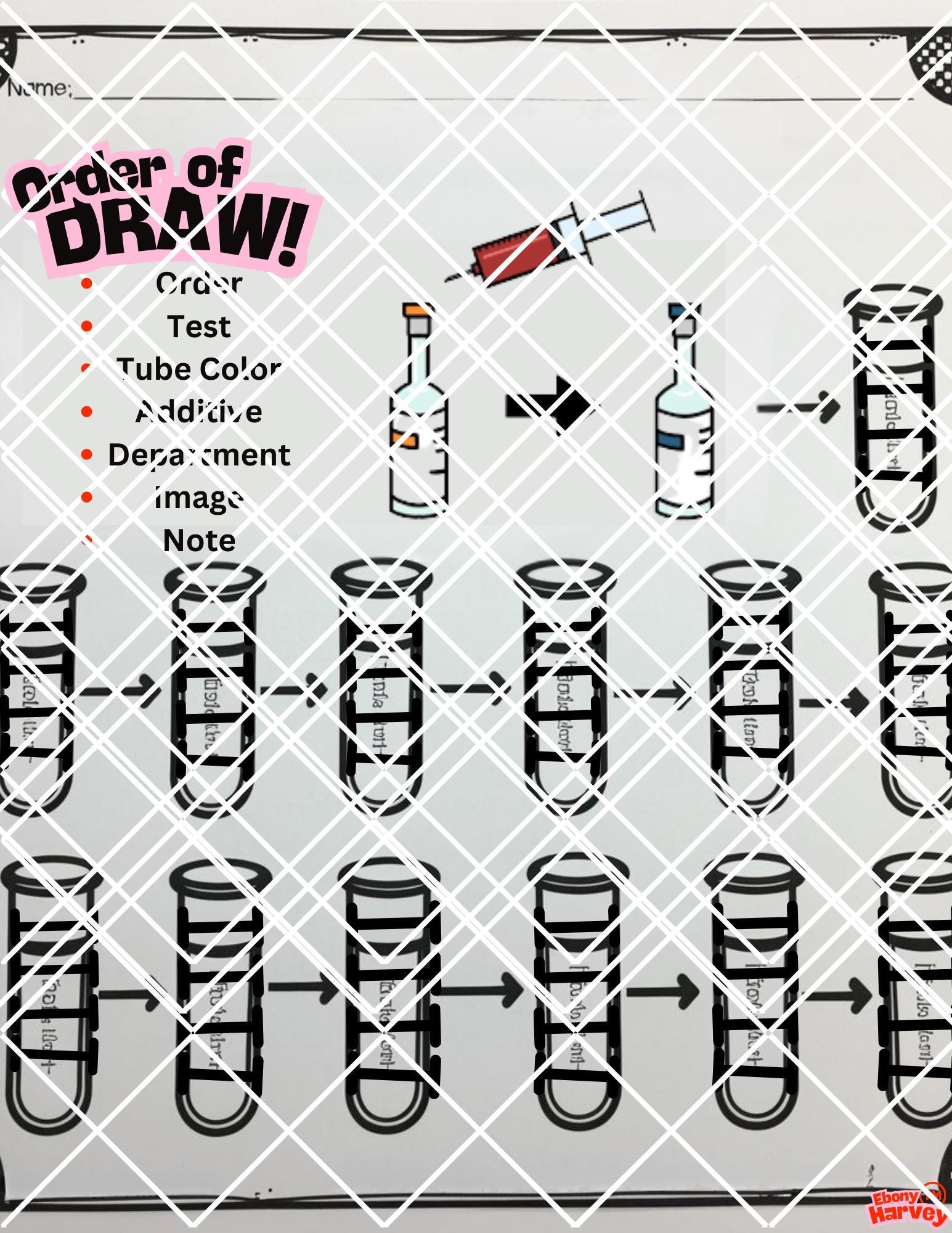 Order of Draw Printable Worksheet, Digital Phlebotomy Worksheet, CLSI ...