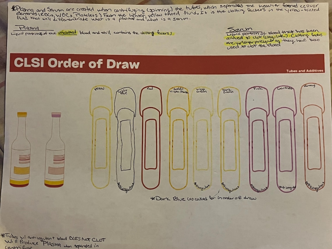 Order of Draw Printable Worksheet, Digital Phlebotomy Worksheet, CLSI ...