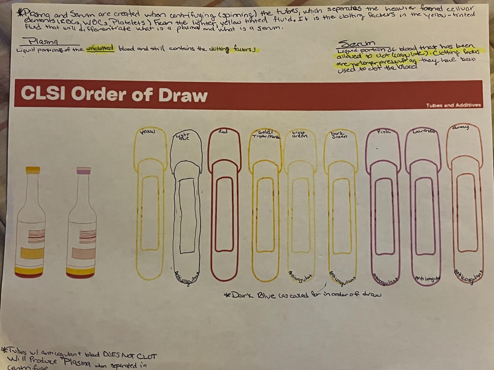 Order of Draw Printable Worksheet, Digital Phlebotomy Worksheet, CLSI ...