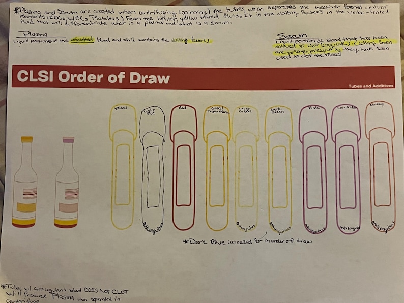 Order of Draw Printable Worksheet, Digital Phlebotomy Worksheet, CLSI ...