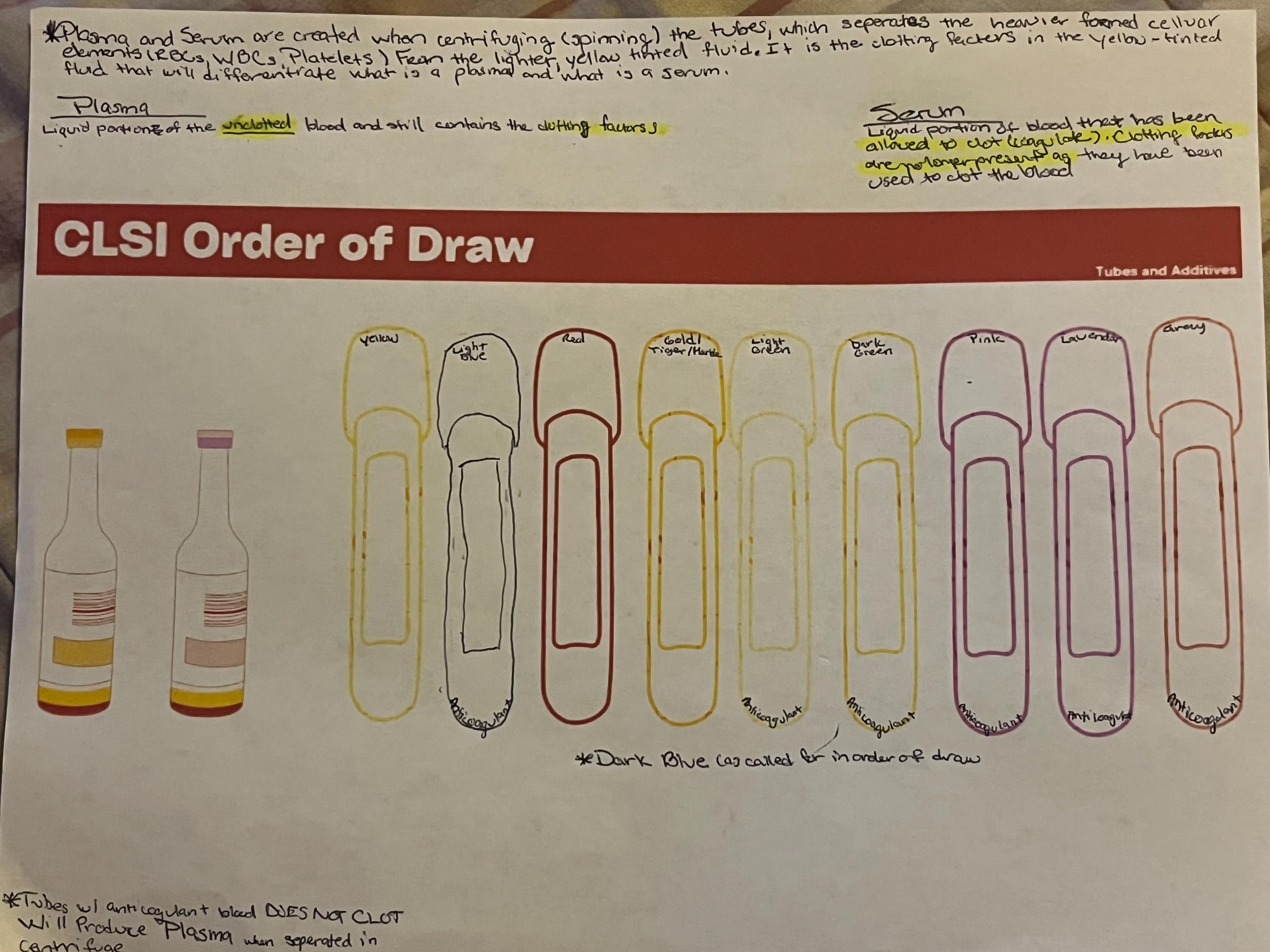 Order of Draw Printable Worksheet, Digital Phlebotomy Worksheet, CLSI ...