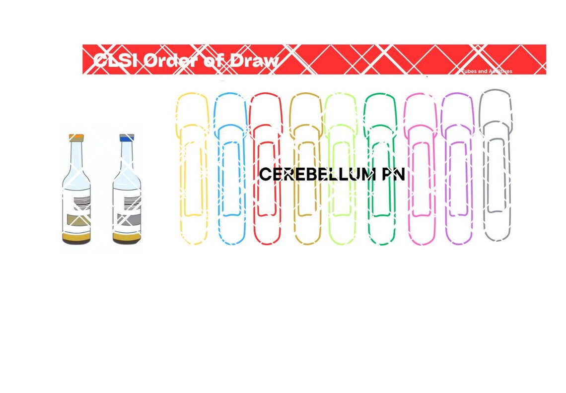 Order of Draw Printable Worksheet, Digital Phlebotomy Worksheet, CLSI ...