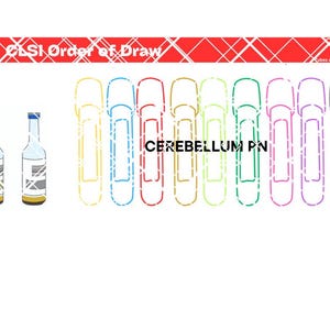 Order of Draw Printable Worksheet, Digital Phlebotomy Worksheet, CLSI ...