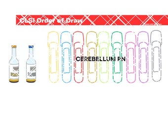 Order of Draw Printable Worksheet, Digital Phlebotomy Worksheet, CLSI ...