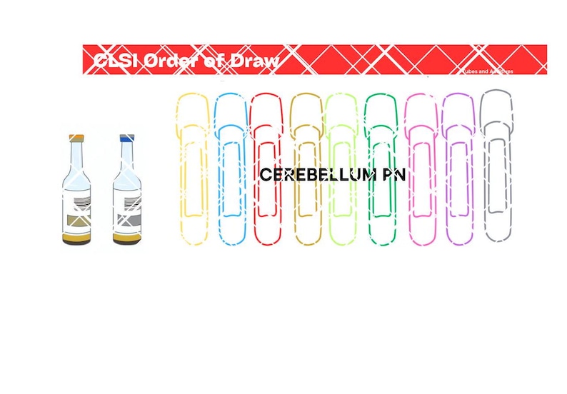 Order of Draw Printable Worksheet, Digital Phlebotomy Worksheet, CLSI ...