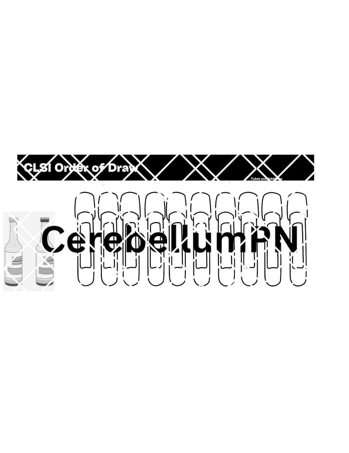 Order of Draw Printable Worksheet, Digital Phlebotomy Worksheet, CLSI ...