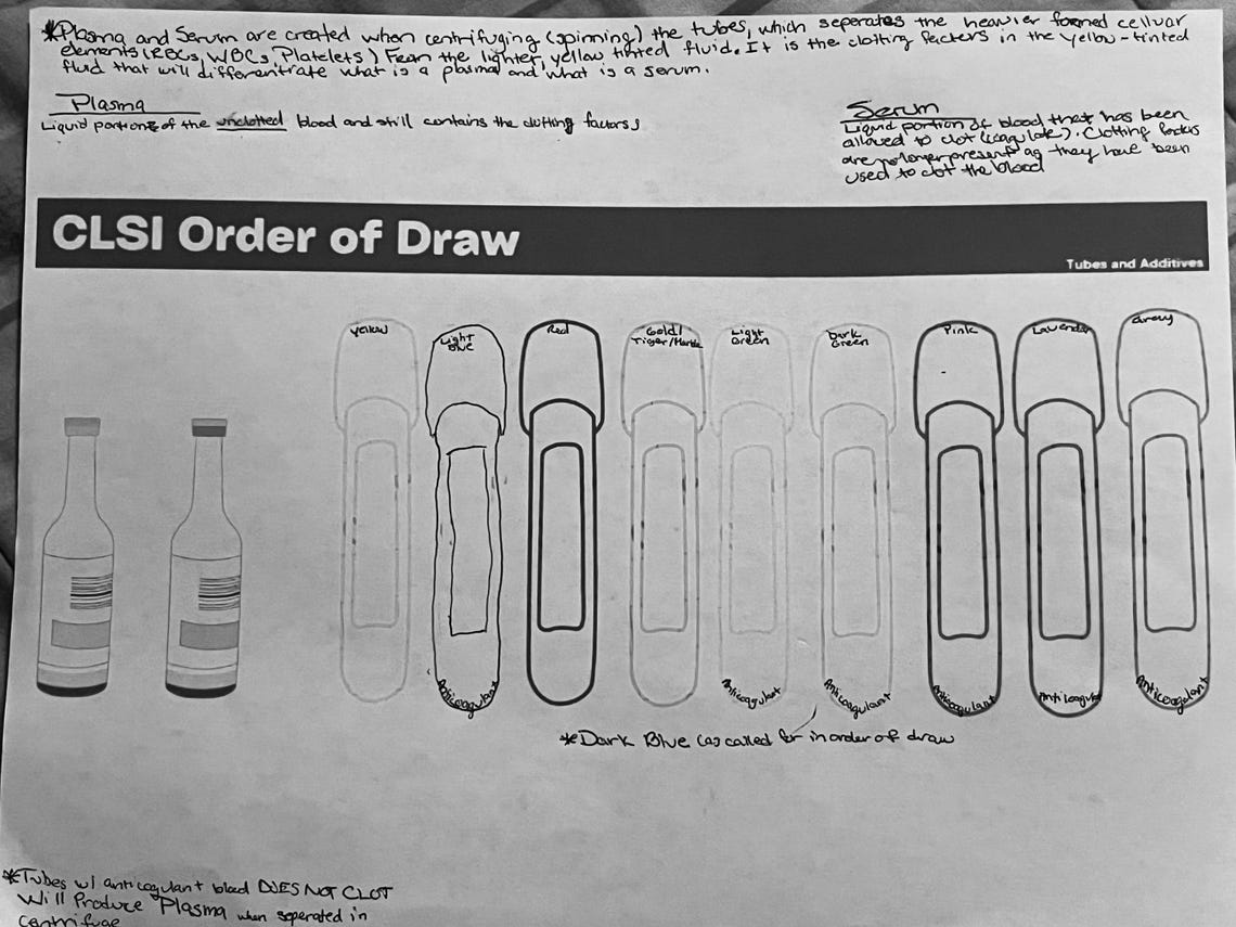 Order of Draw Printable Worksheet, Digital Phlebotomy Worksheet, CLSI ...