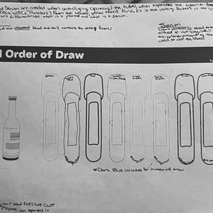 Order of Draw Printable Worksheet, Digital Phlebotomy Worksheet, CLSI ...
