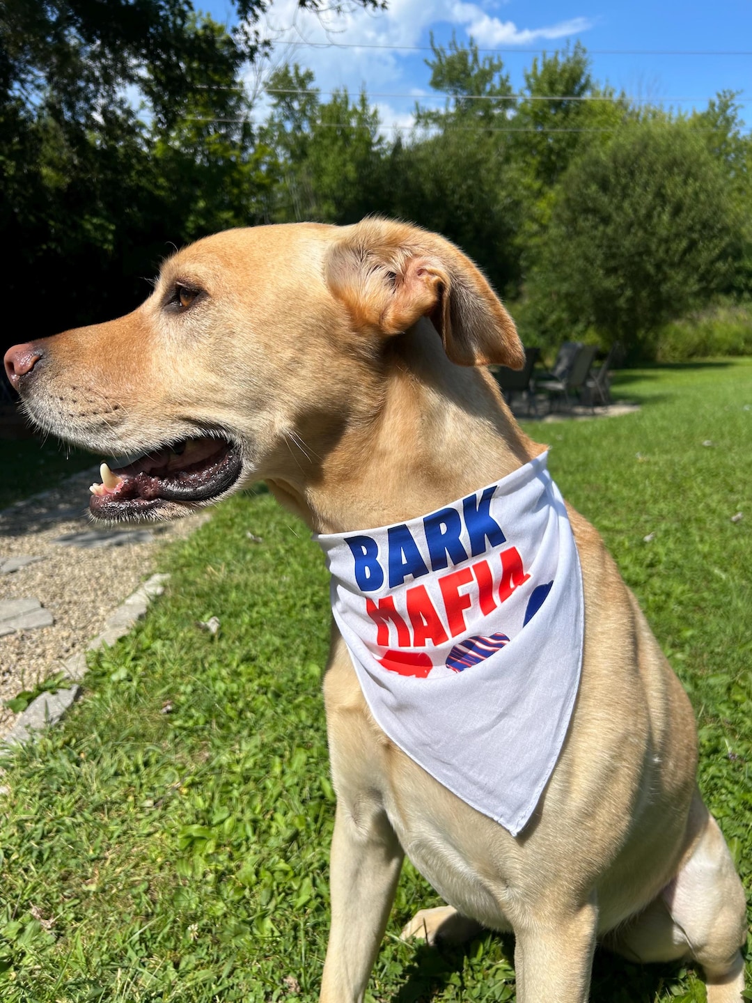 Buffalo Bills Dog Bandana (bark Mafia) - Etsy